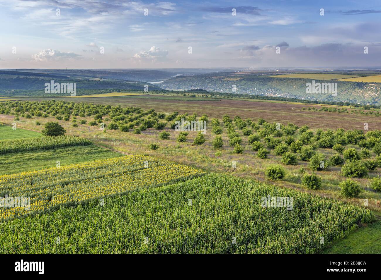 Rezina district hi-res stock photography and images - Alamy