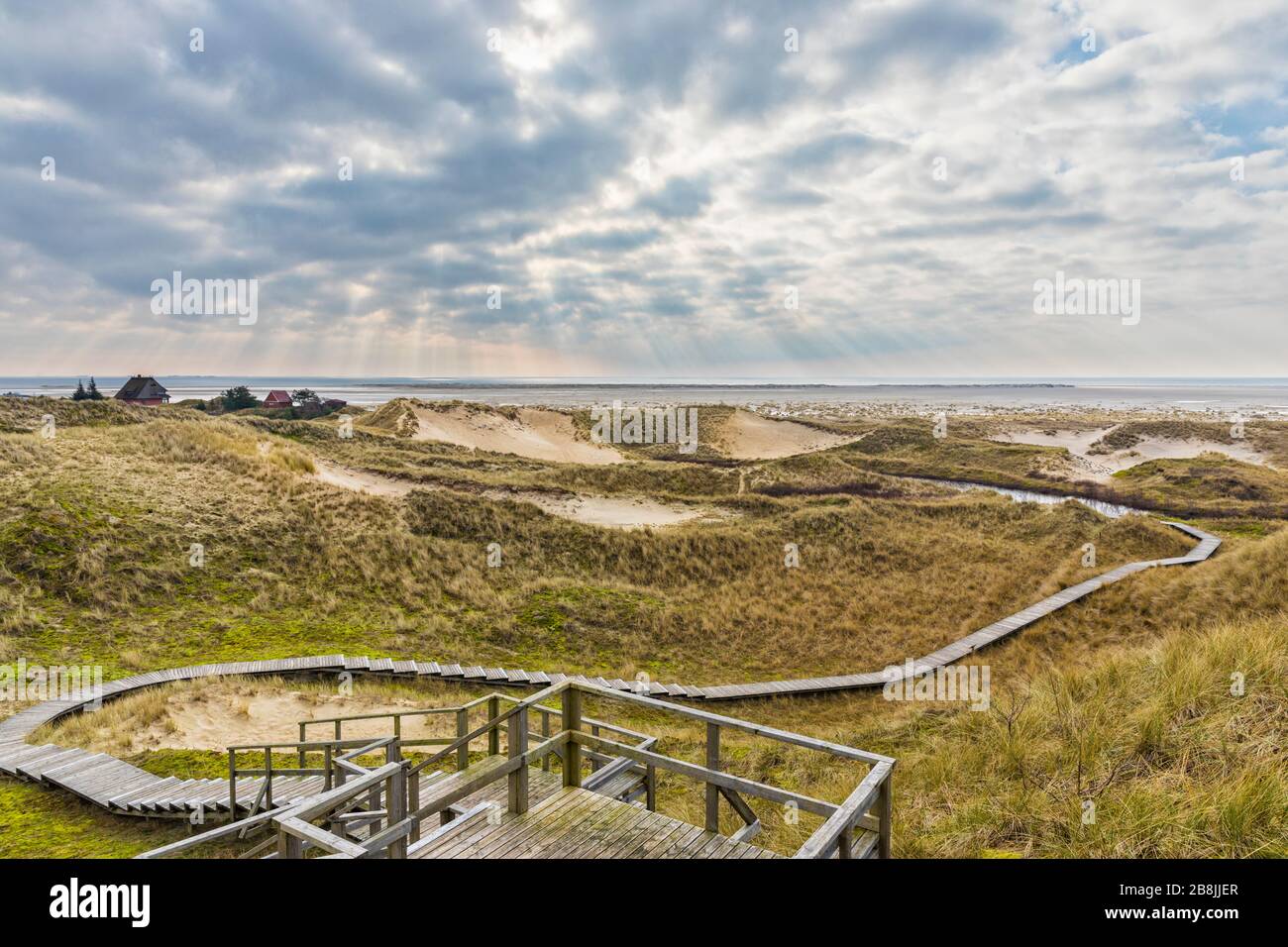 Wooden stairway and path to the beach through the dunes of German North ...