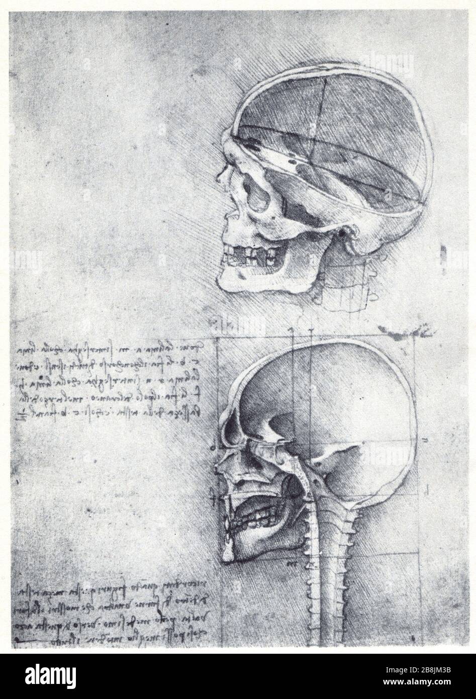 Leonardo da Vinci. Anatomical studies of skulls. 1489 Stock Photo - Alamy