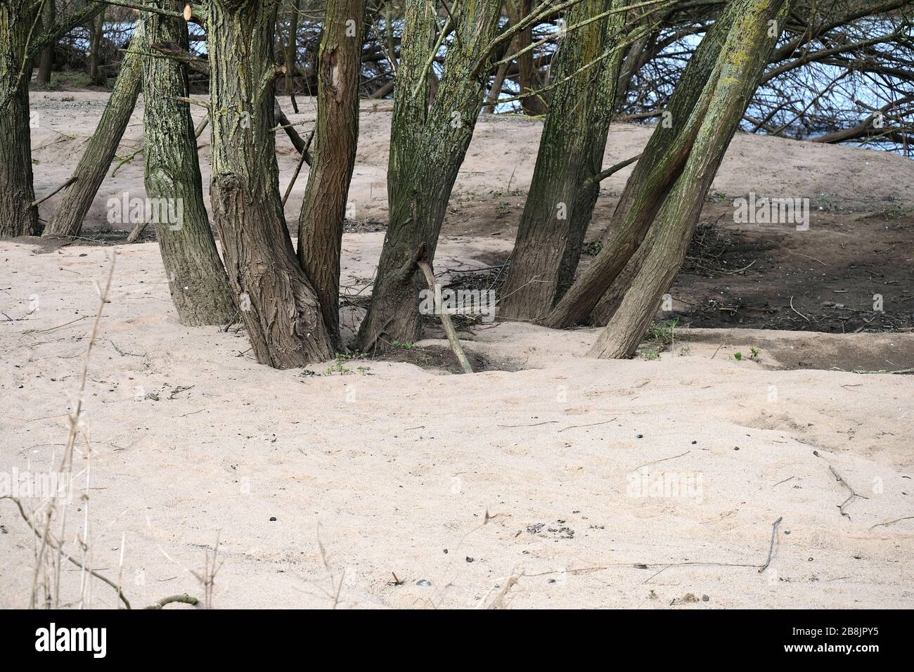 Alluvium bed hi-res stock photography and images - Alamy