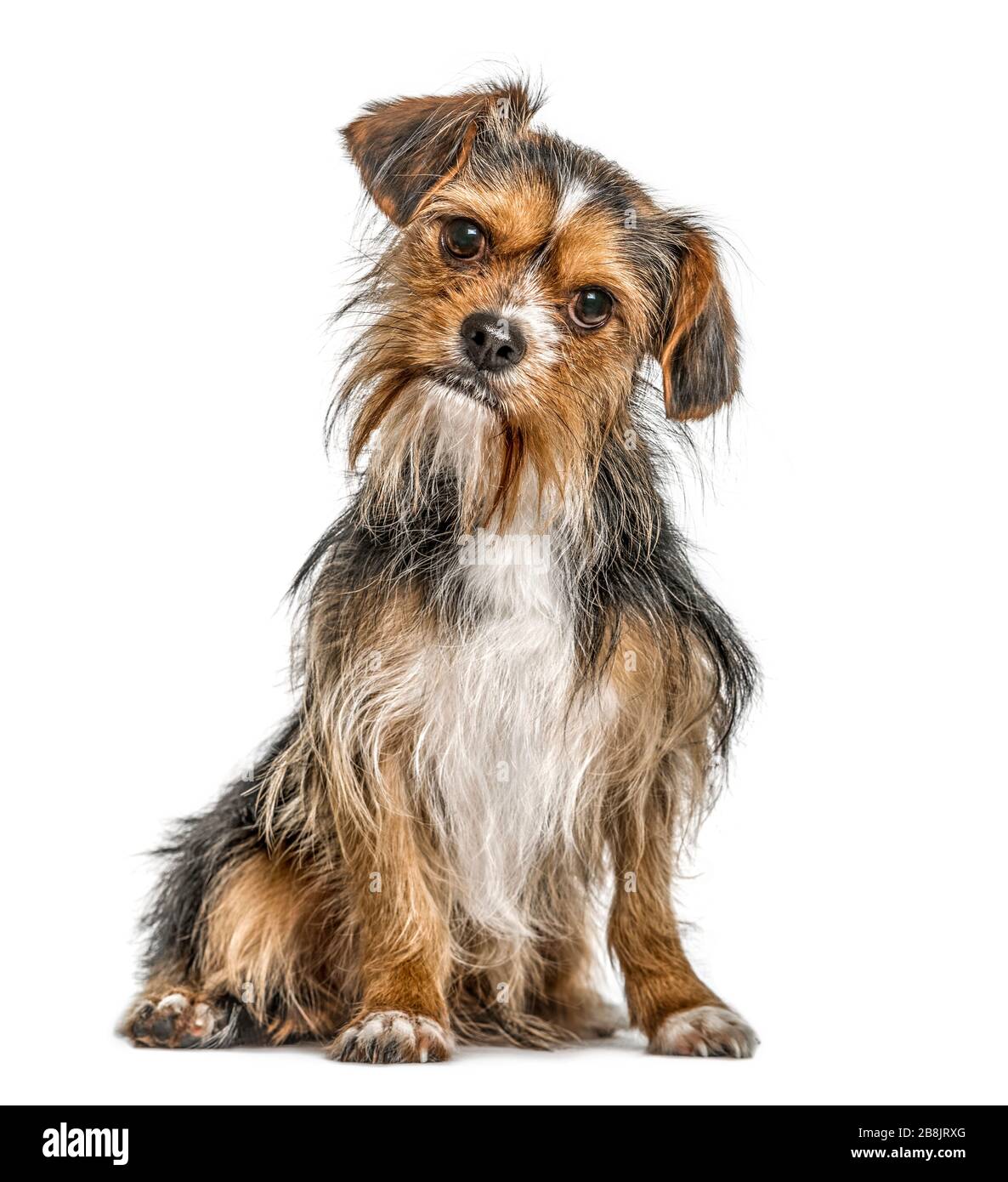 Bending head hi-res stock photography and images - Alamy