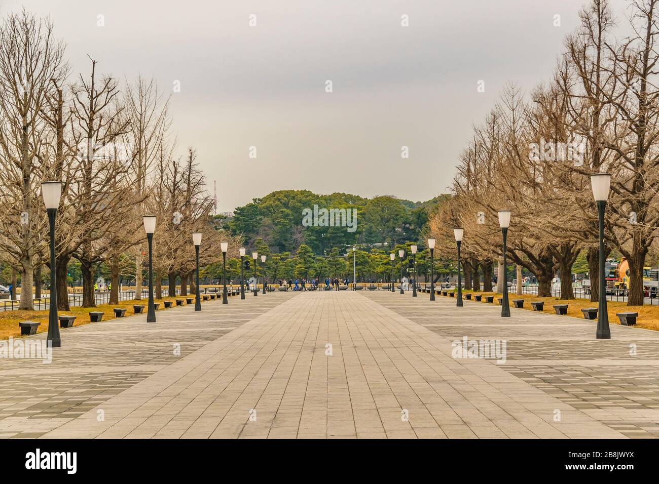TOKYO, JAPAN, JANUARY - 2019 - Empty sidewalk park winter urban scene ...