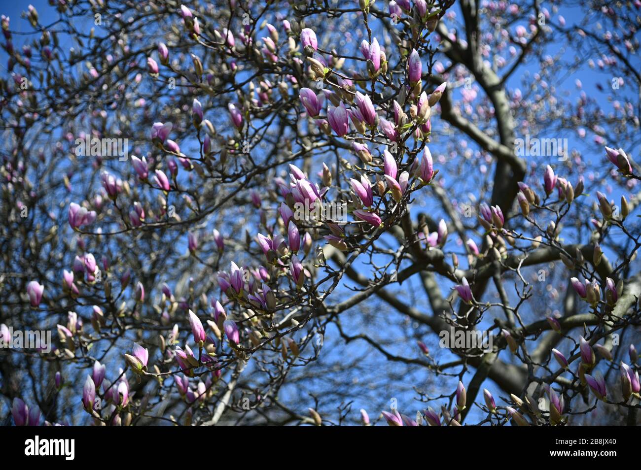 Signs of early spring new york city hi-res stock photography and images ...