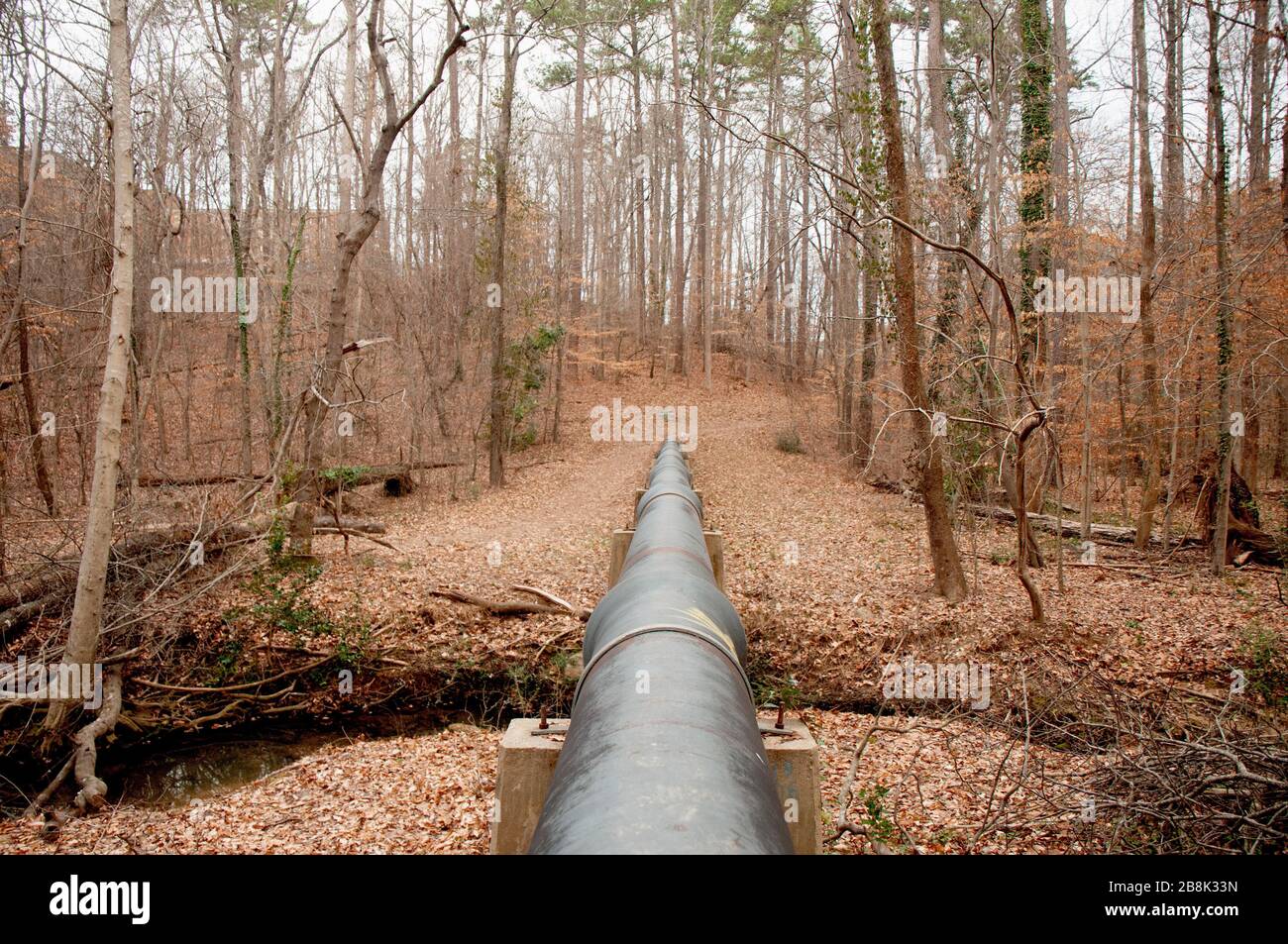 Ugly Black Pipeline Running through Fall Forest Stock Photo - Alamy
