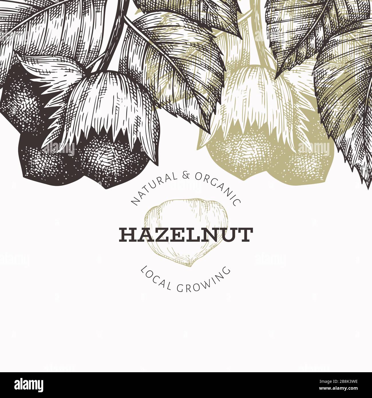 Hand drawn sketch hazelnut design template. Organic food vector ...