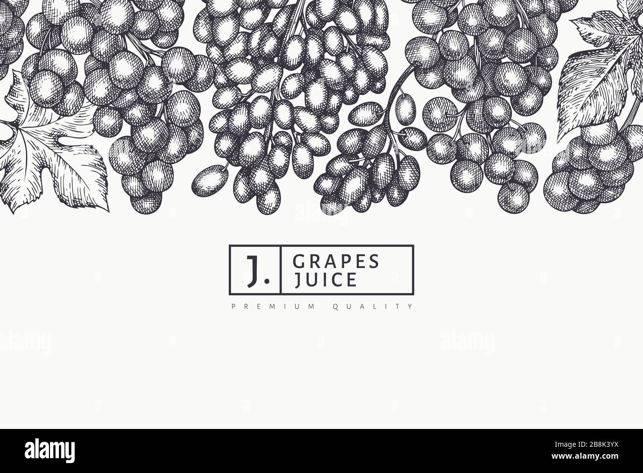 Grape design template. Hand drawn vector grape berry illustration ...