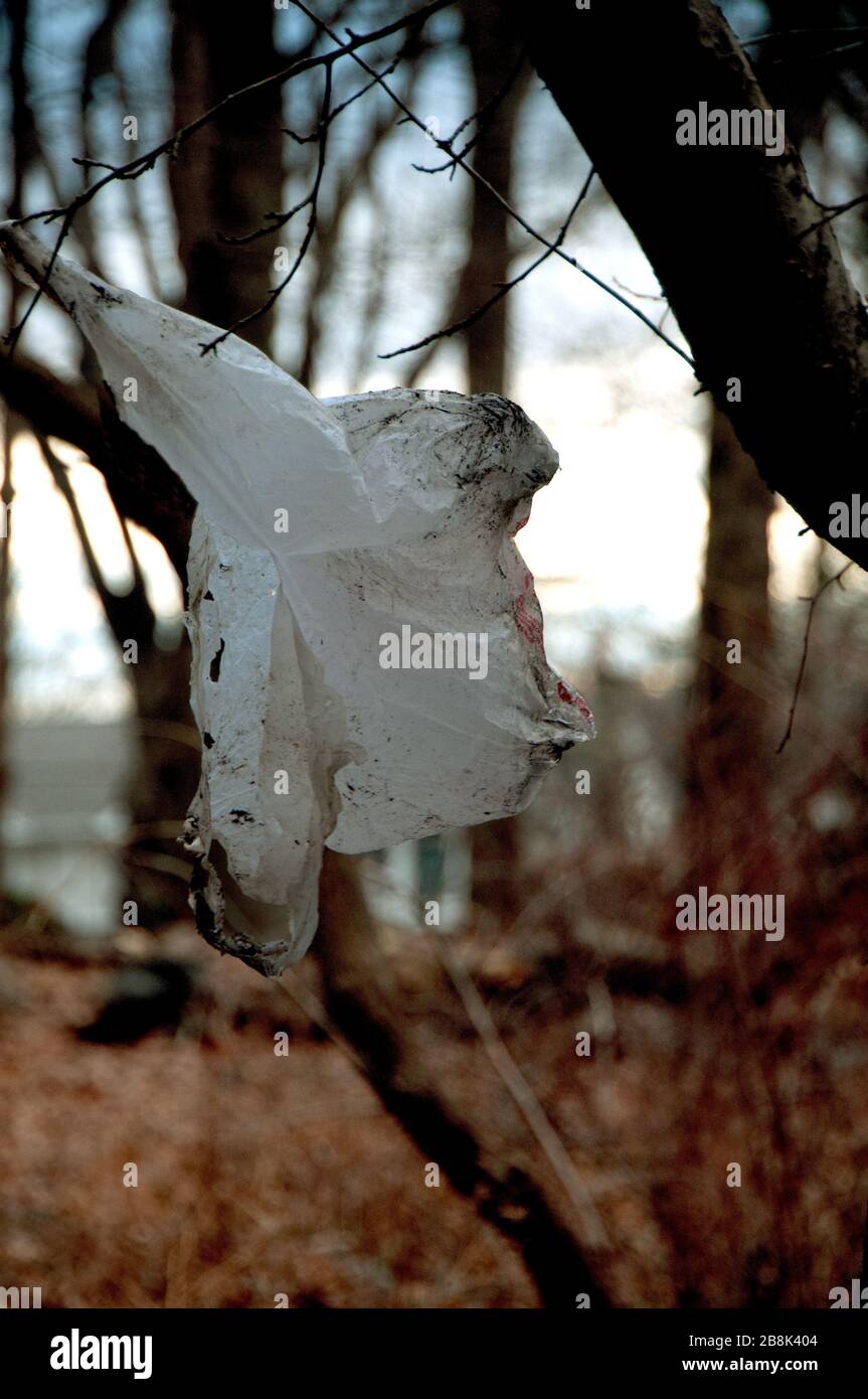 Plastic bag on tree hi-res stock photography and images - Alamy