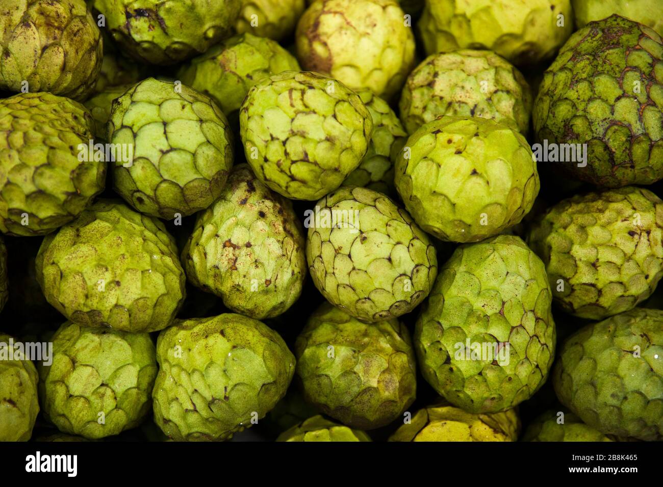 Anona hi-res stock photography and images - Alamy