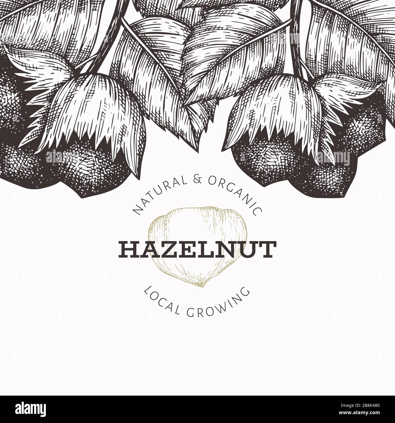 Hand drawn sketch hazelnut design template. Organic food vector ...