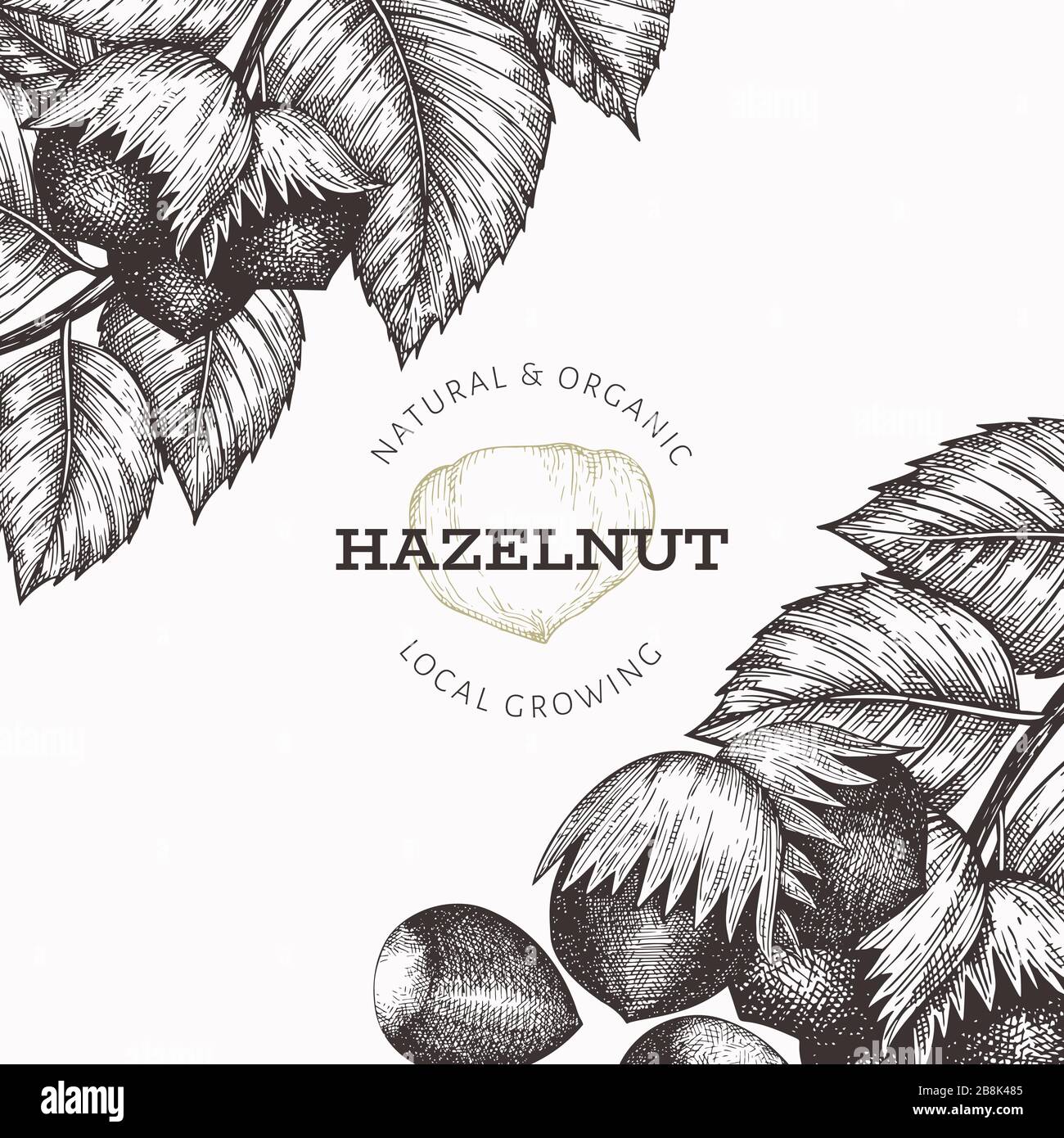 Hand drawn sketch hazelnut design template. Organic food vector ...