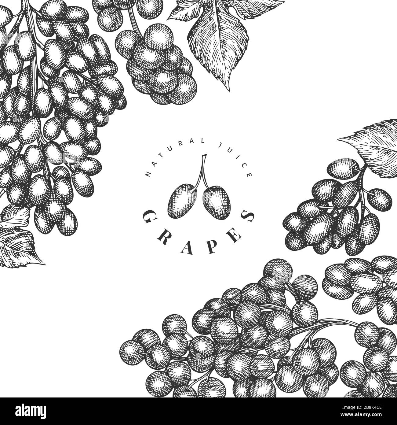 Grape design template. Hand drawn vector grape berry illustration ...
