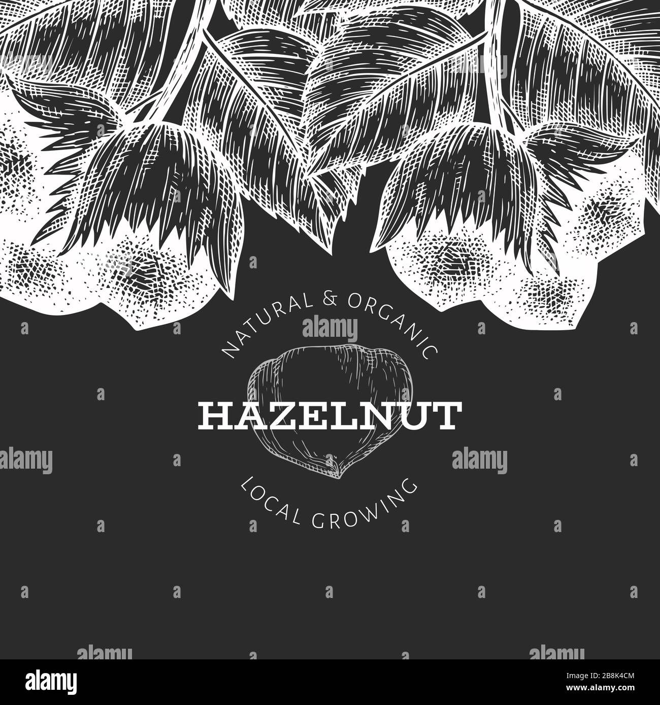 Hand drawn sketch hazelnut design template. Organic food vector ...