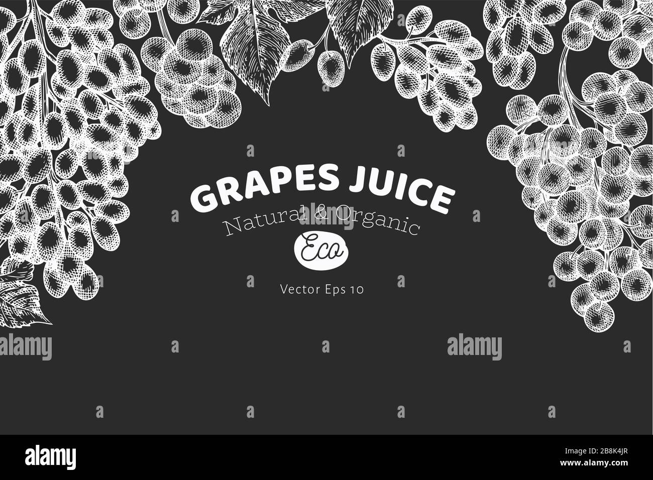 Grape design template. Hand drawn vector grape berry illustration on ...