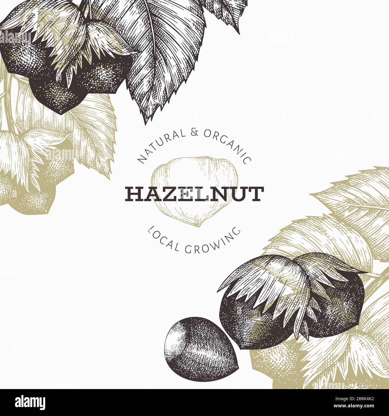 Hand drawn sketch hazelnut design template. Organic food vector ...