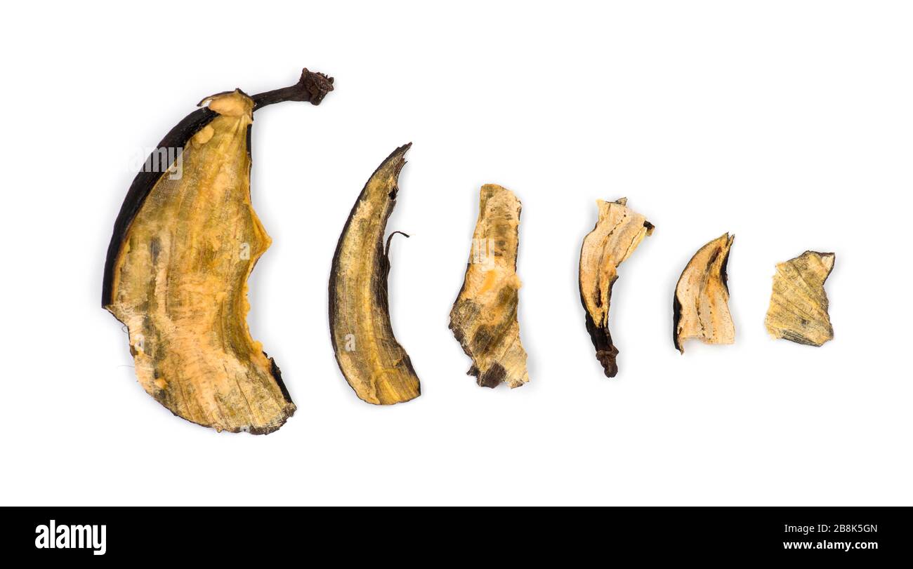 Decaying banana slices against white background Stock Photo - Alamy