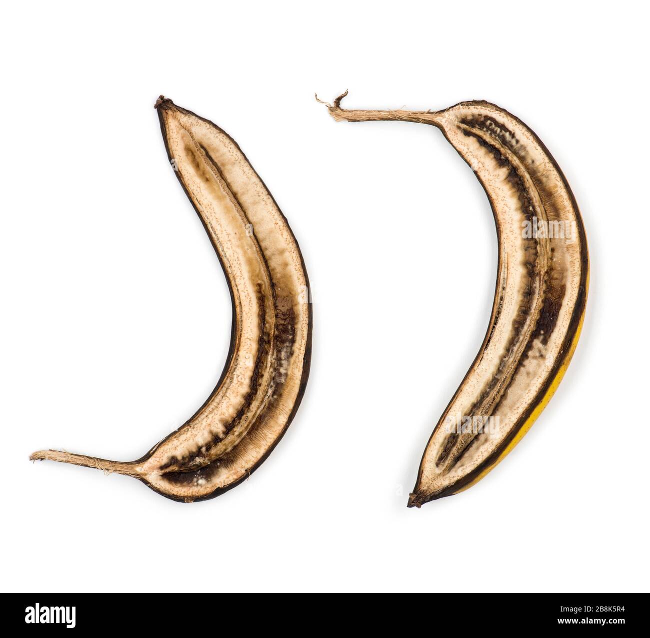 Decaying banana slices against white background Stock Photo - Alamy