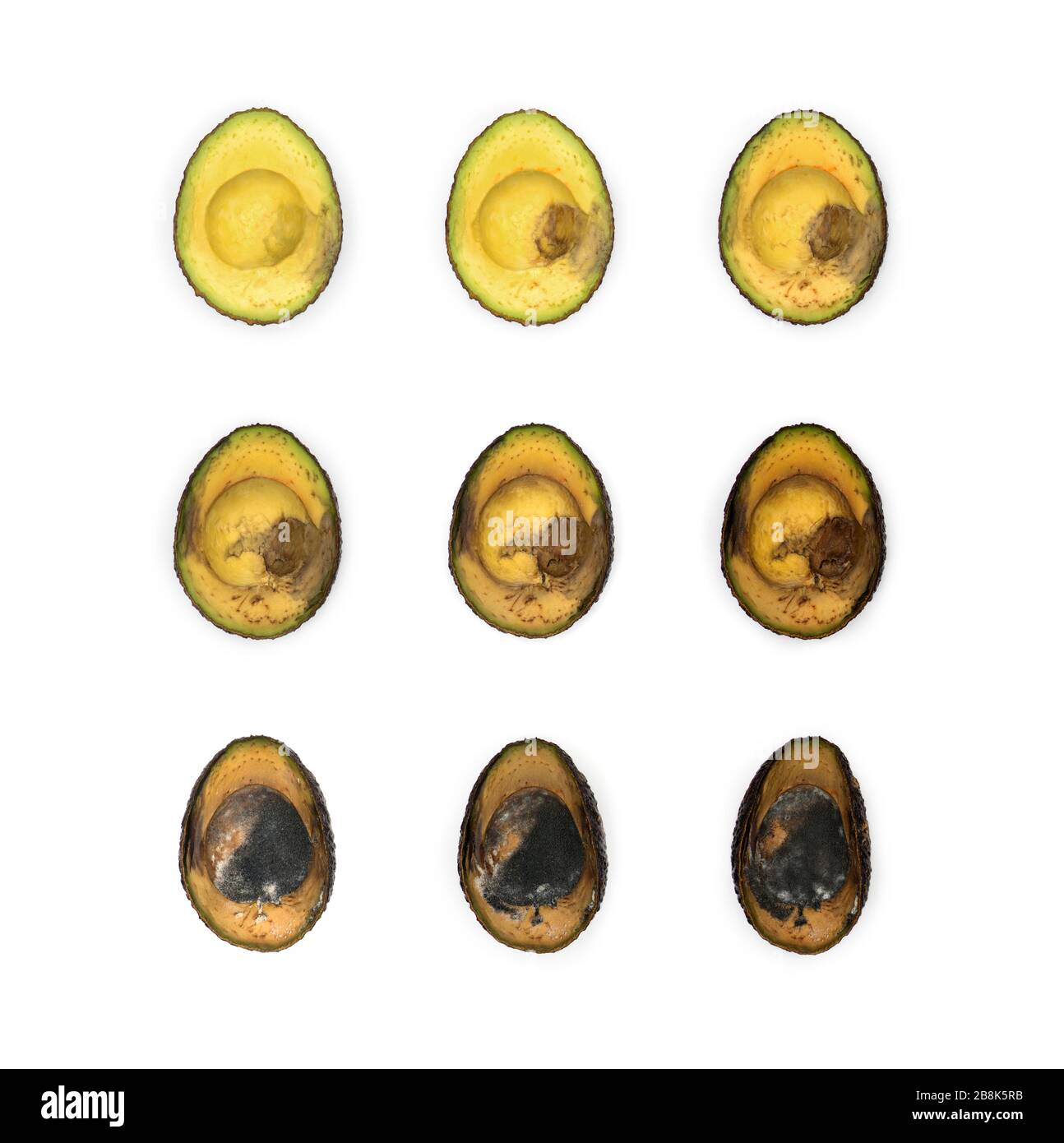 Avocado slices in sequence decaying against white background Stock ...