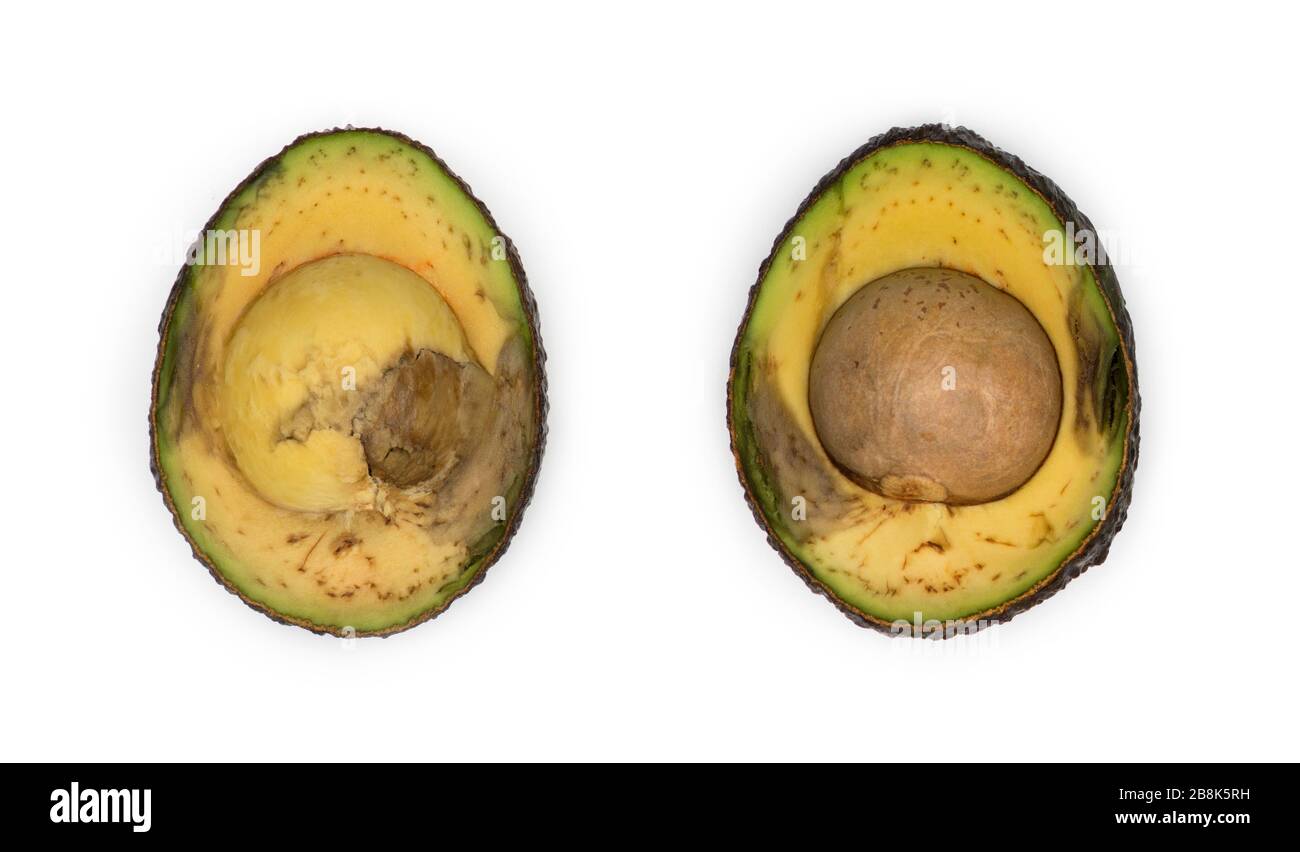 Decaying avocado slices against white background Stock Photo - Alamy