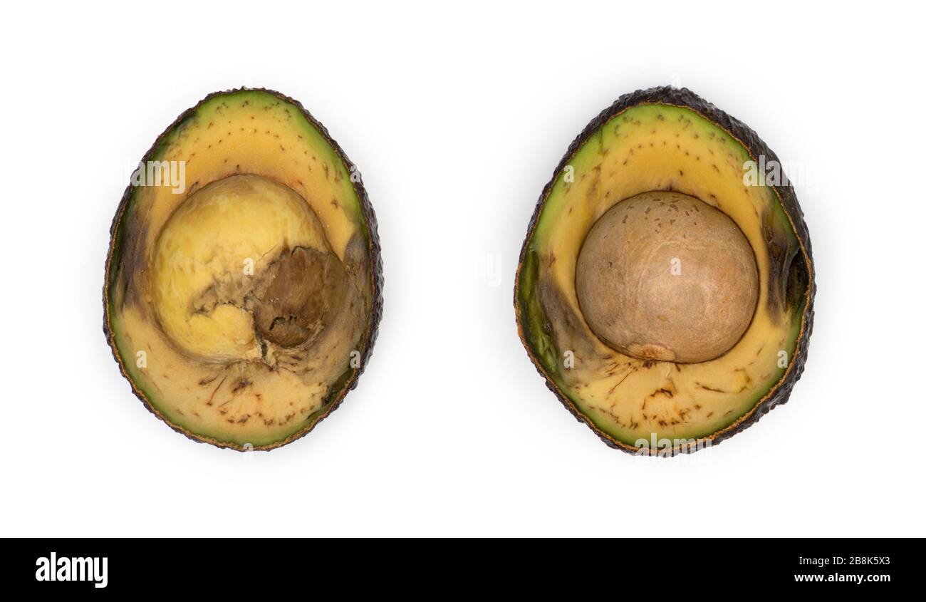 Decaying avocado slices against white background Stock Photo - Alamy