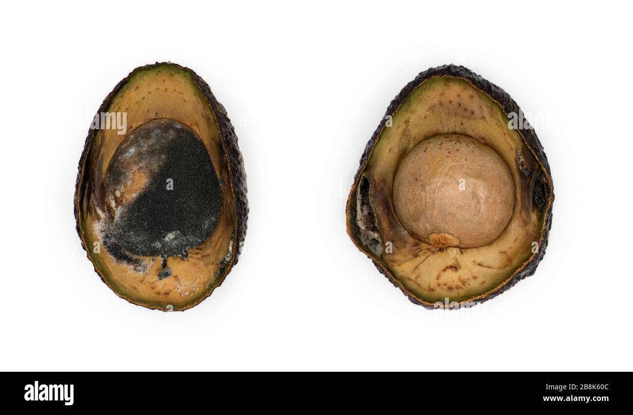 Decaying avocado slices against white background Stock Photo - Alamy