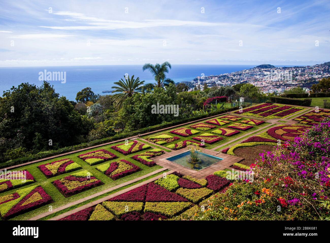 Flora madeira hi-res stock photography and images - Alamy
