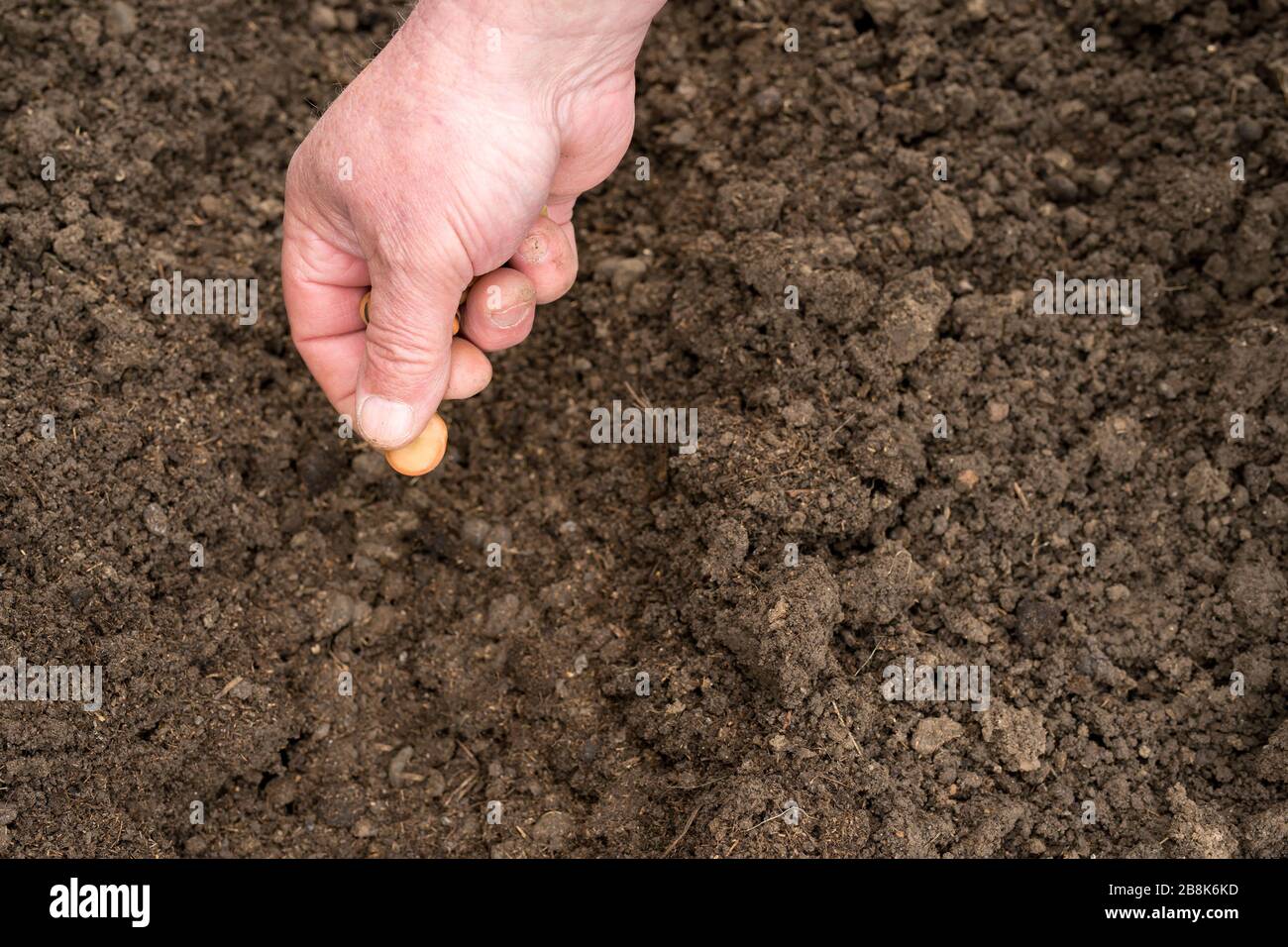 Sow seed hi-res stock photography and images - Alamy
