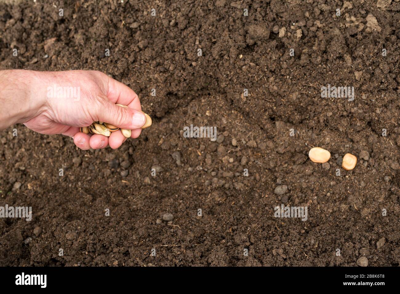 Sow seed hi-res stock photography and images - Alamy