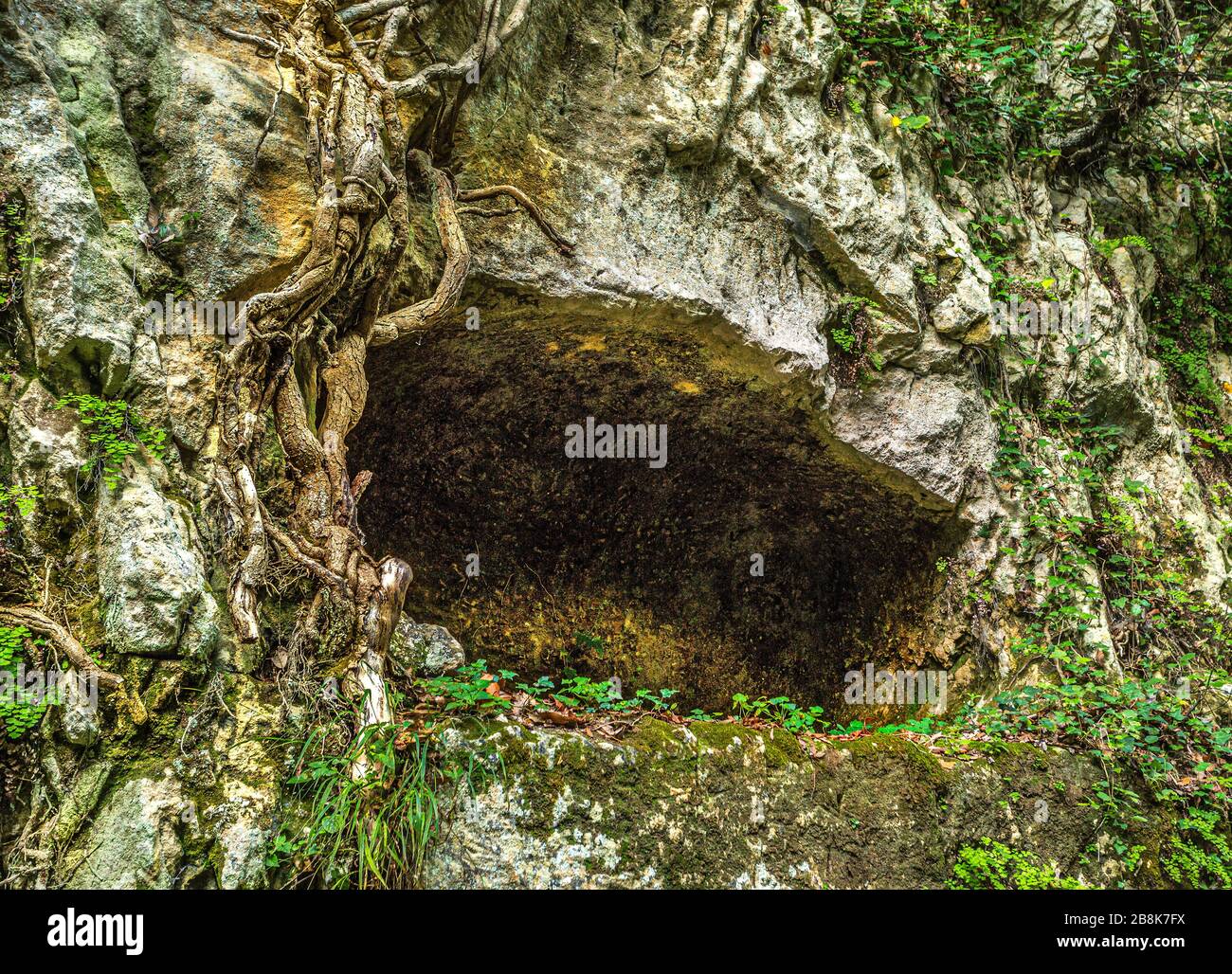 medieval rock tombs in Alento Valley Stock Photo - Alamy