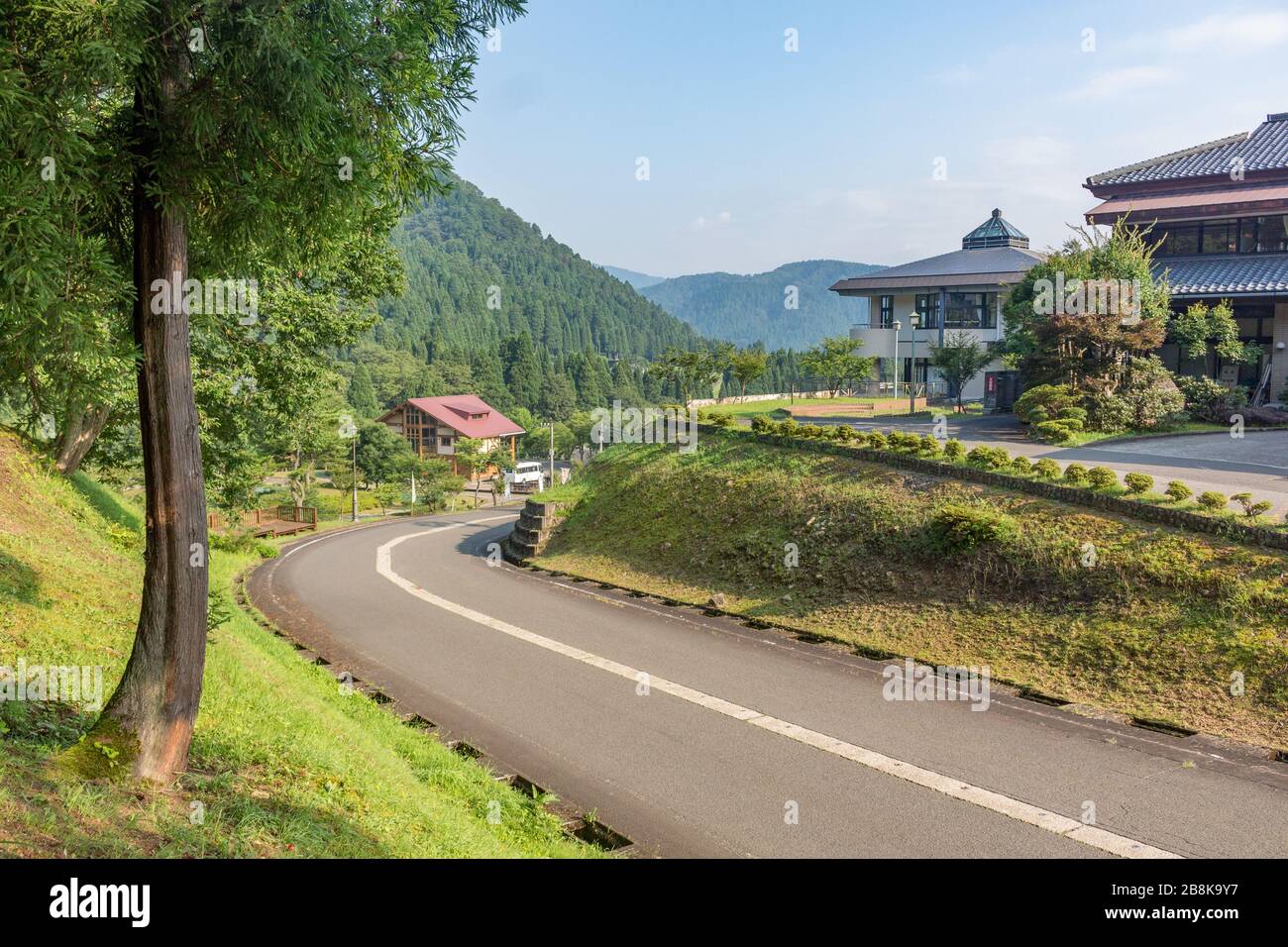Summer view of countryside bending road through green forest with tall ...