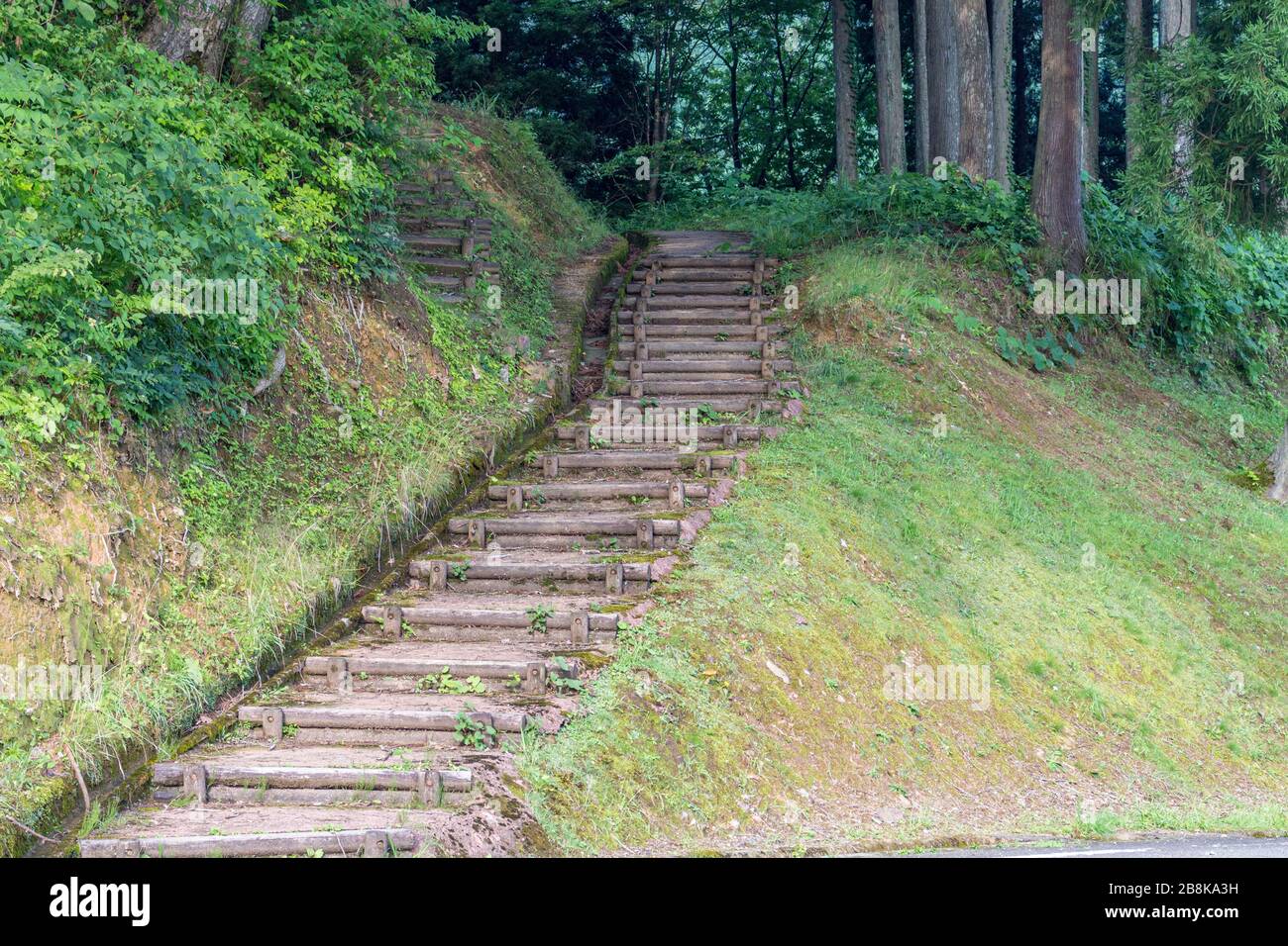 Summer view of wooden steps climbing up into countryside forest, Fukui ...