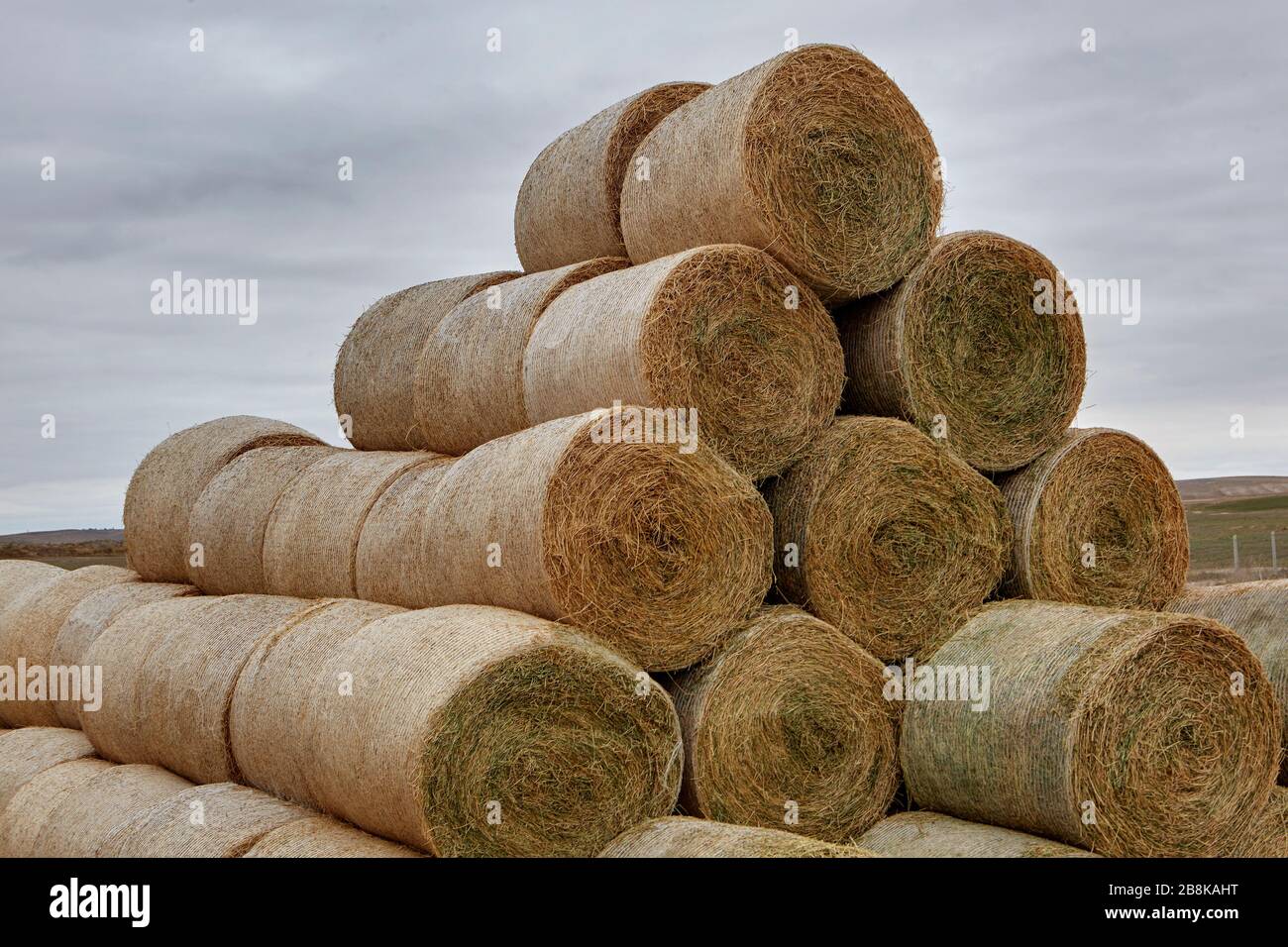 hay bales in the farm Stock Photo - Alamy