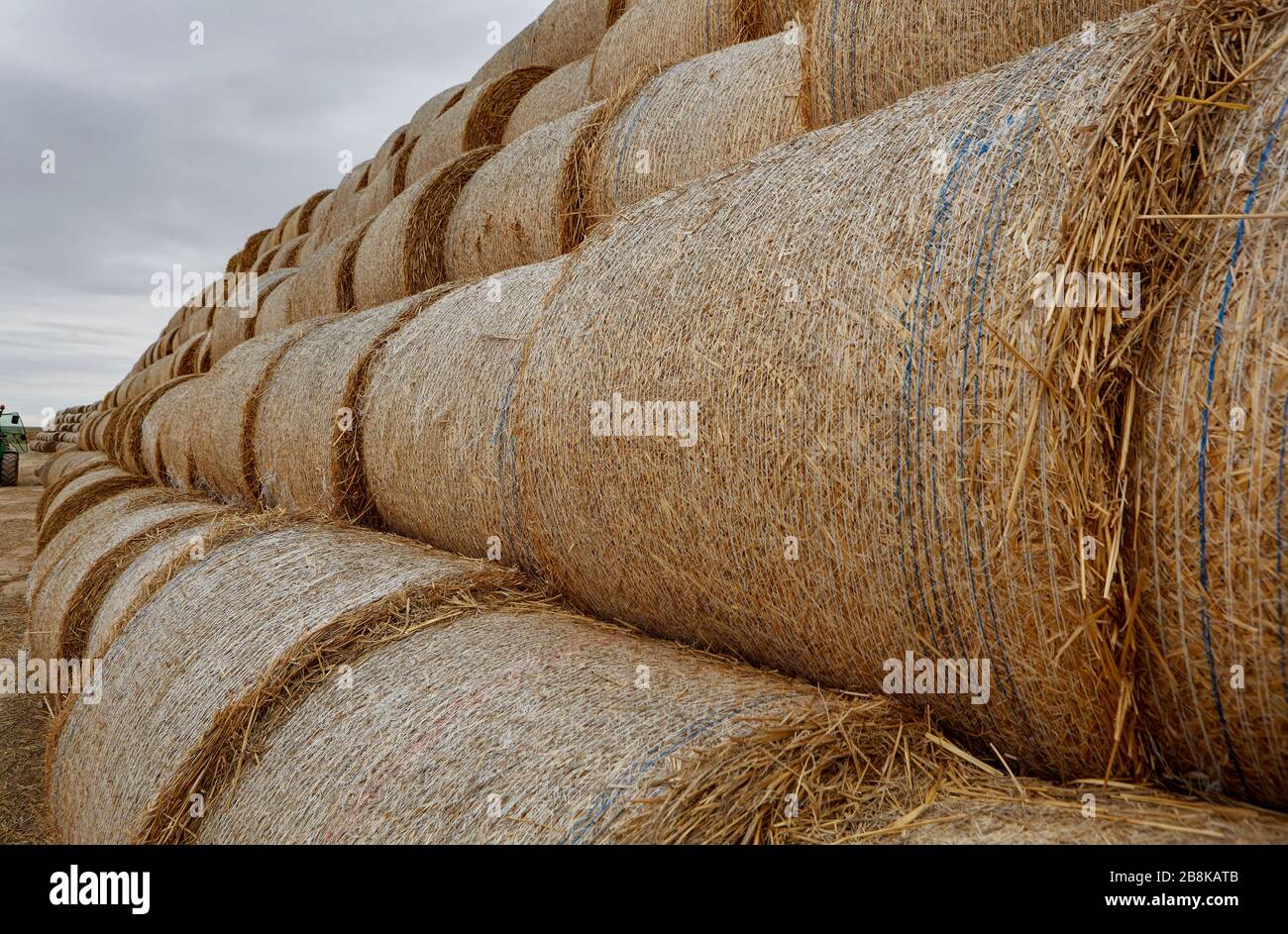 hay bales in the farm Stock Photo - Alamy