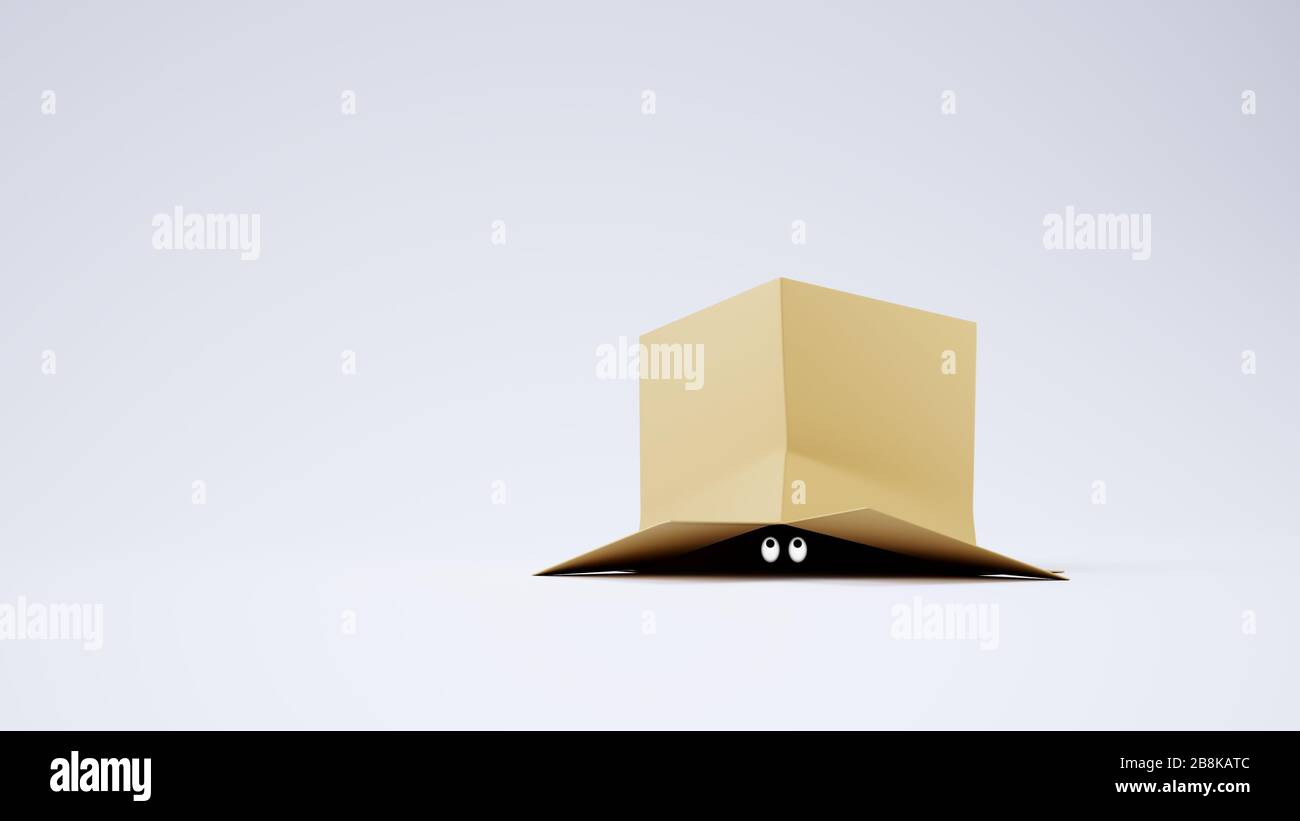 Something is hiding under the cardboard box. Eyes in the dark. White ...