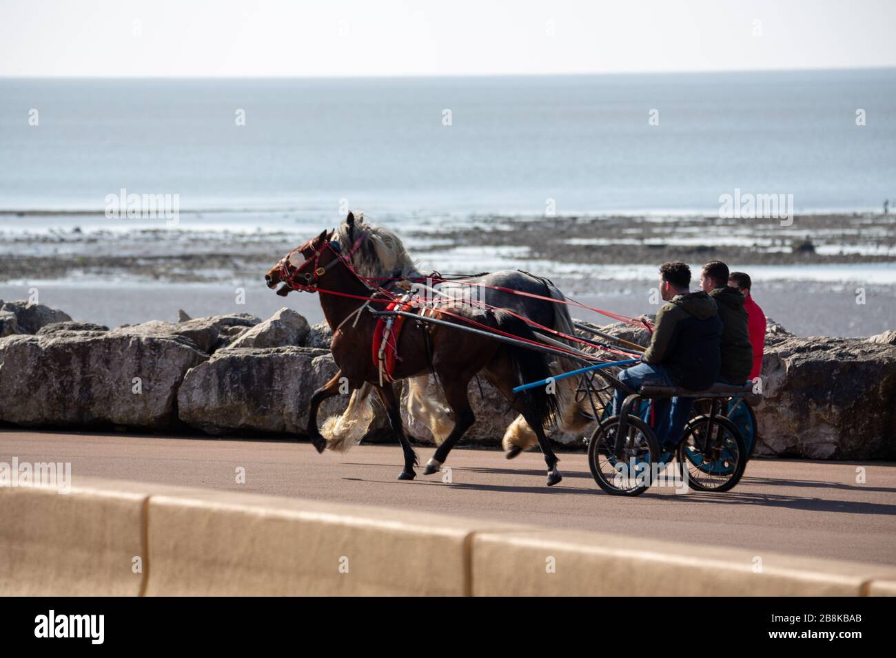 Morecambe Promenade, Morecambe, Lancashire, UK. 22nd Mar, 2019. Pony ...