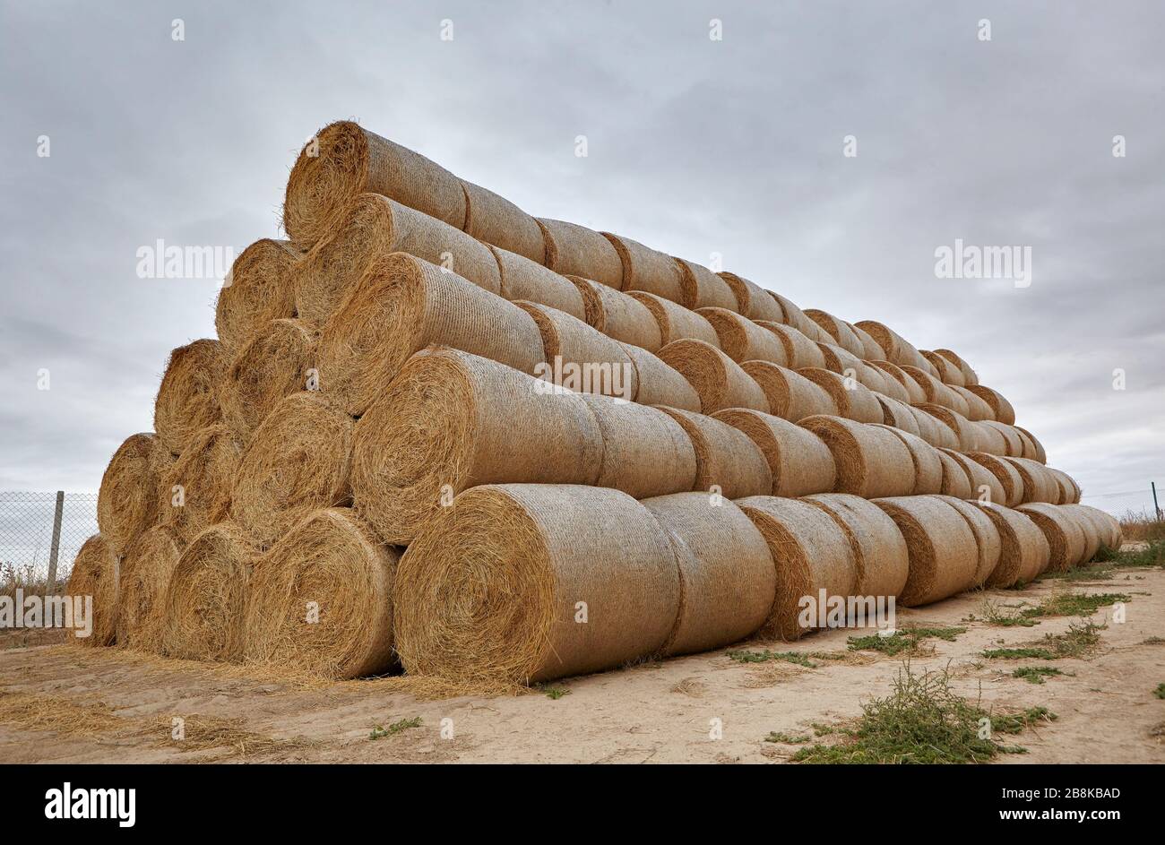 hay bales in the farm Stock Photo - Alamy