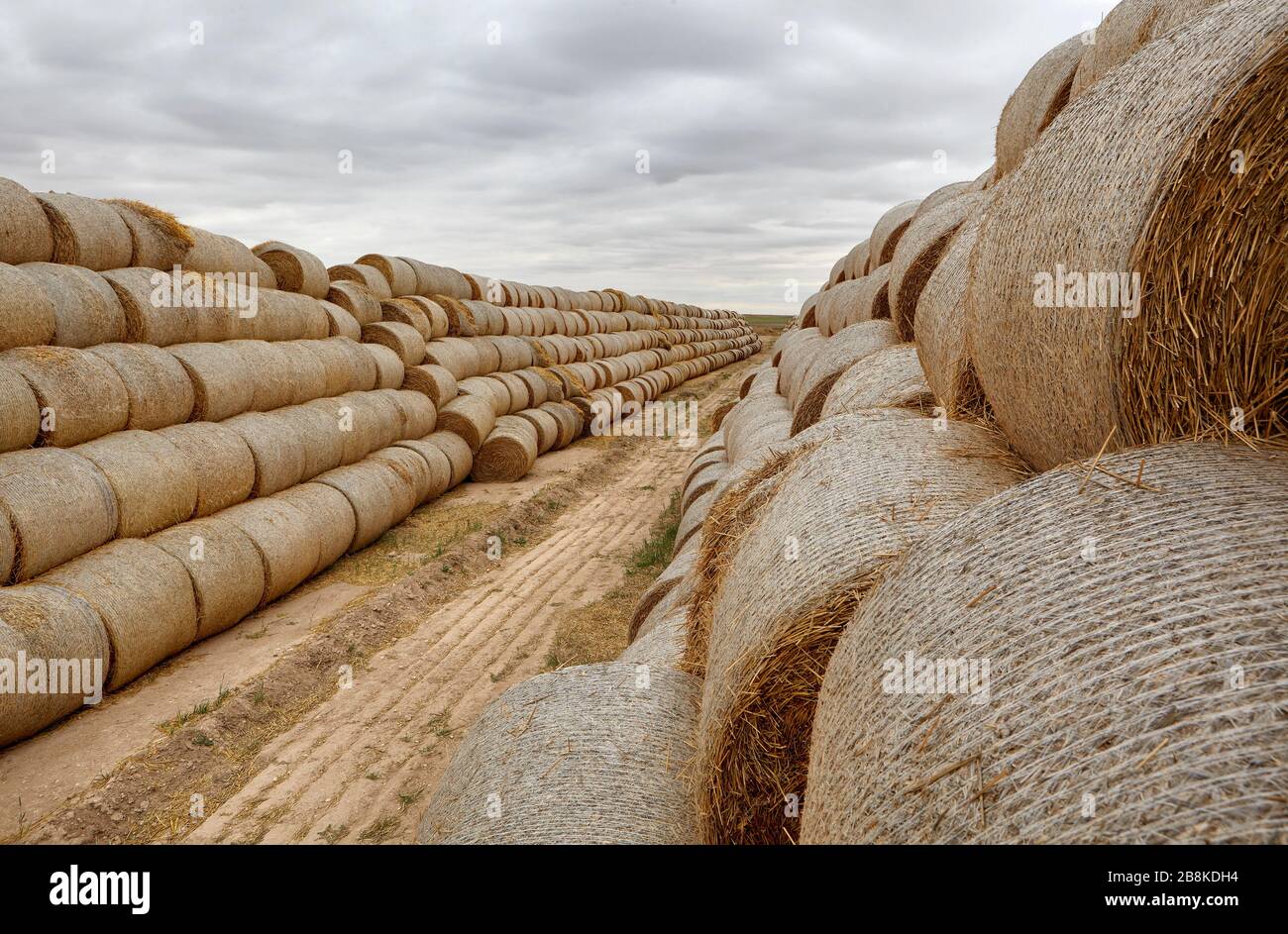 hay bales in the farm Stock Photo - Alamy