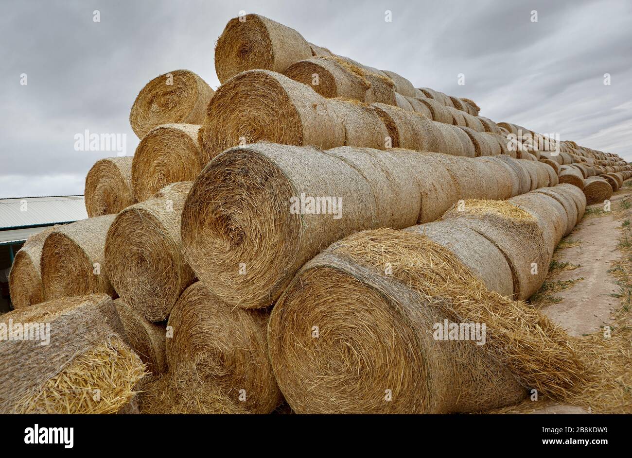 hay bales in the farm Stock Photo - Alamy