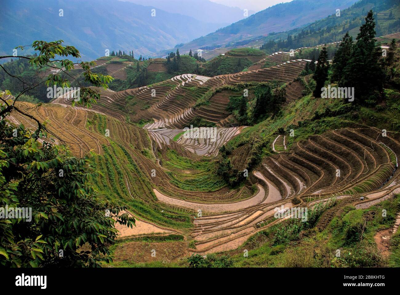 Rice terraces wrap around steep mountain slopes at Long Ji north of ...