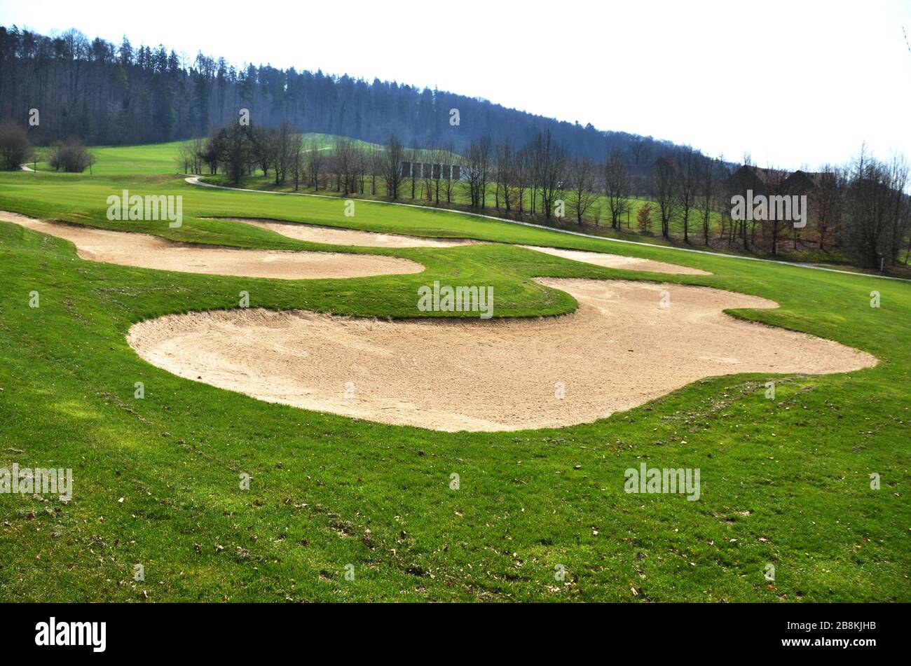 Golf course with a rich green turf beautiful scenery Stock Photo - Alamy