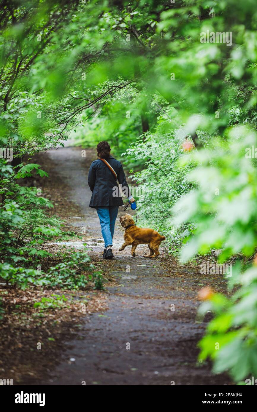 woman walking with dog on leash Stock Photo - Alamy