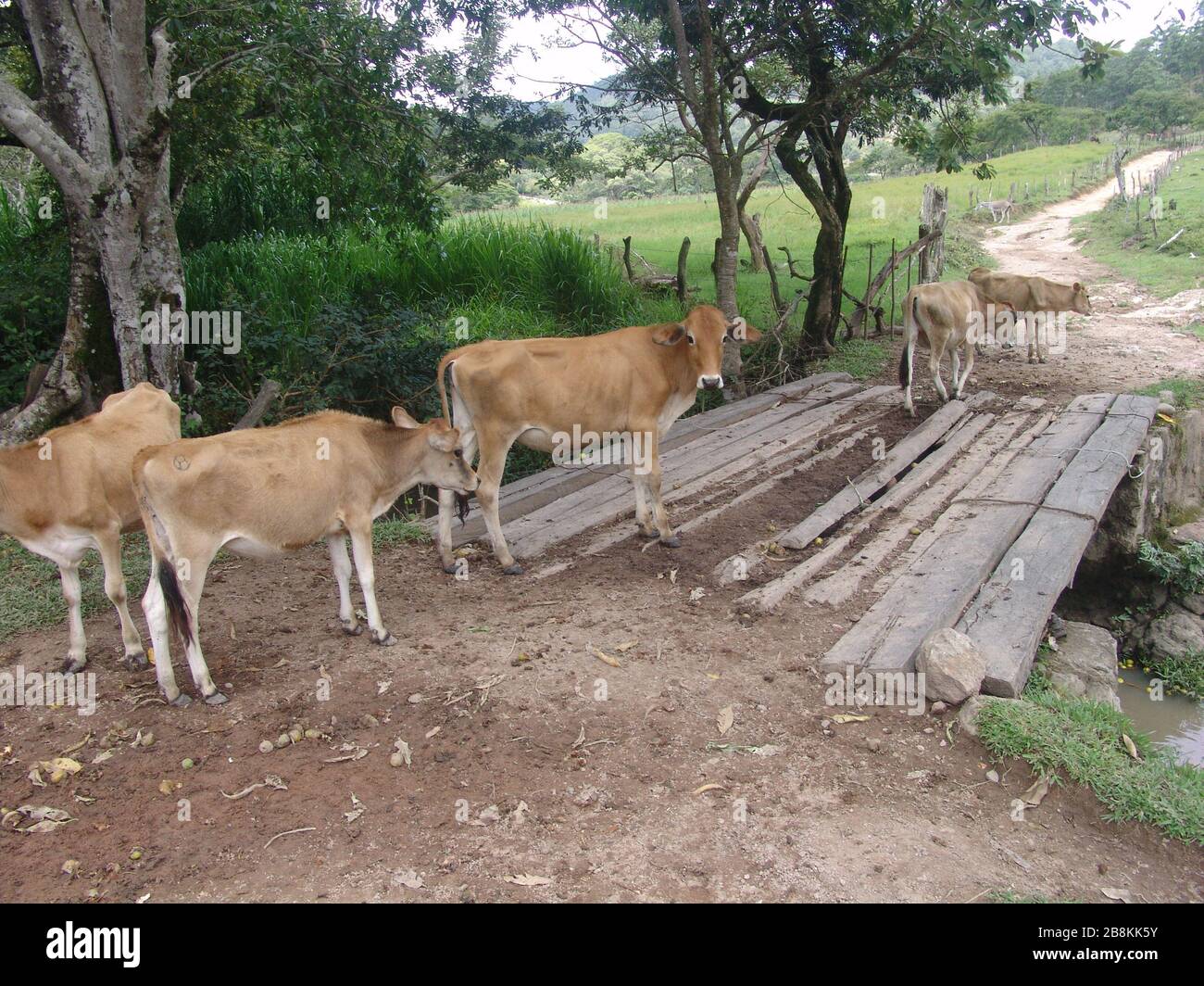 Choluteca honduras bridge hi-res stock photography and images - Alamy