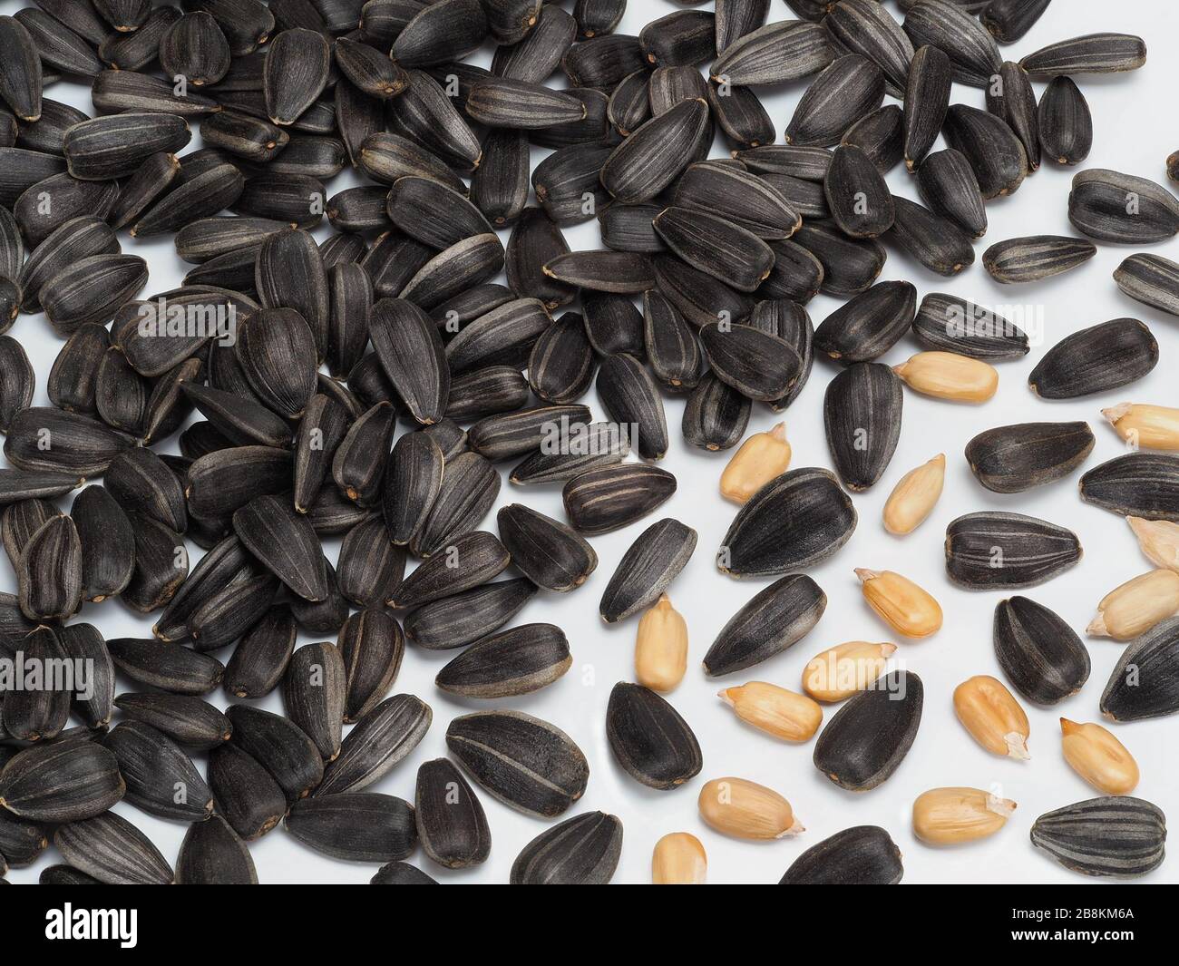Black sunflower fried seeds peeled and unpeeled Stock Photo - Alamy