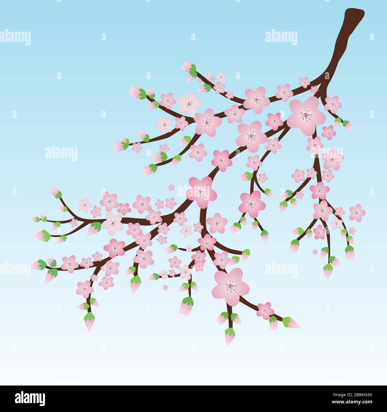 Blue green blossoms spring Stock Vector Images - Alamy