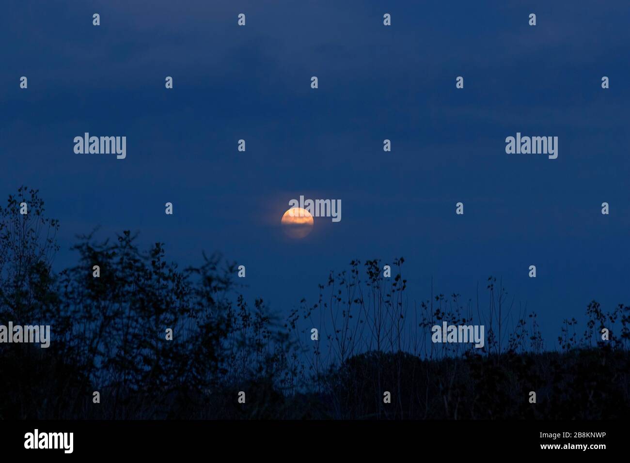 Wallpaper abyss hi-res stock photography and images - Alamy
