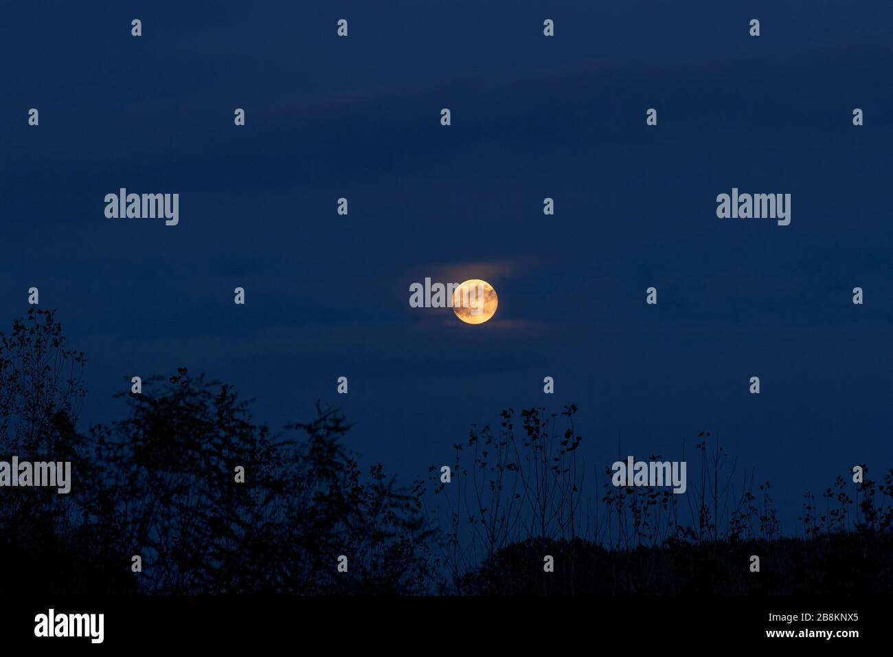 Mysterious night sky with full moon.Dramatic clouds in the moonlight from full moon Stock Photo ...