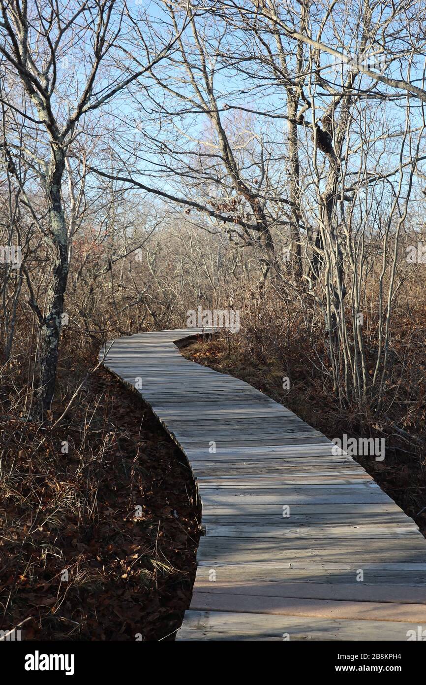 Marshland ecosystem hi-res stock photography and images - Alamy