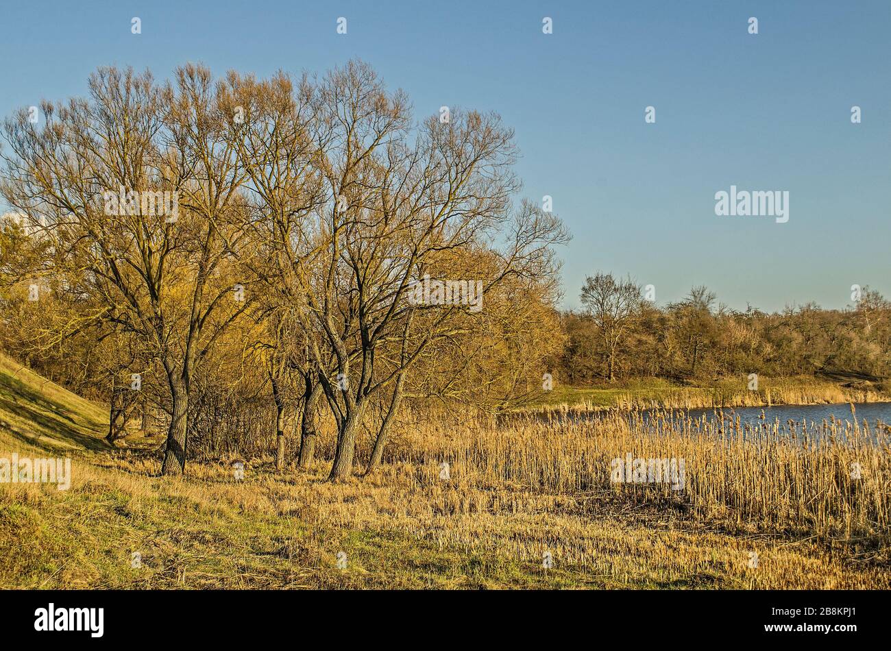 Beautiful autumn nature background. Gold autumn landscape Stock Photo ...