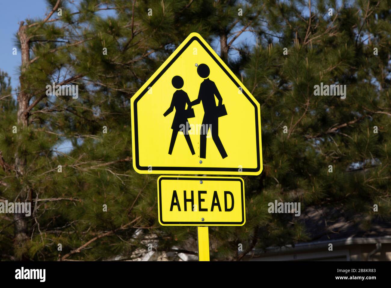 School Crossing Ahead