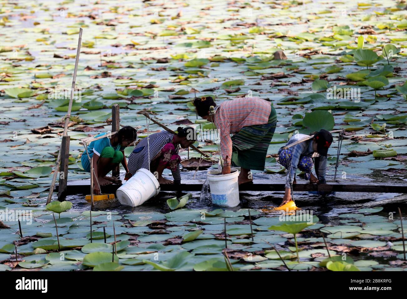 Fetch 22 hi-res stock photography and images - Alamy