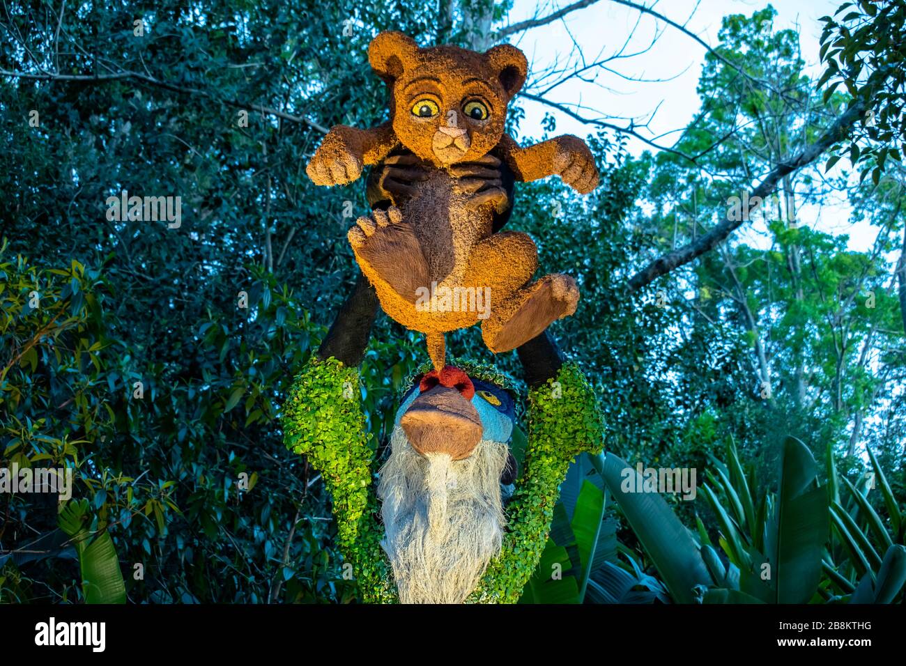 Orlando, Florida . March 11, 2020. Rafiki monkey and Simba topiaries on ...